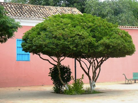 รูปภาพArgant – เลือกดูภาพถ่ายสต็อก เวกเตอร์ และวิดีโอ383 | Adobe Stock