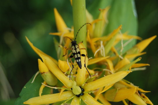 Fggg Images – Browse 8 Stock Photos, Vectors, and Video | Adobe Stock