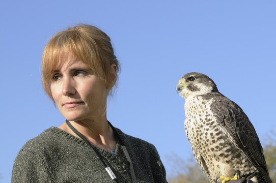 Falconer Images – Browse 15,802 Stock Photos, Vectors, and Video ...