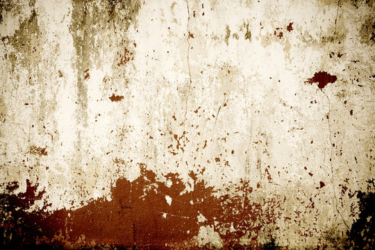 รูปภาพRotting – เลือกดูภาพถ่ายสต็อก เวกเตอร์ และวิดีโอ1,602,332 | Adobe ...