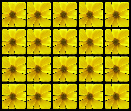 รูปภาพQuadriller – เลือกดูภาพถ่ายสต็อก เวกเตอร์ และวิดีโอ84 | Adobe Stock