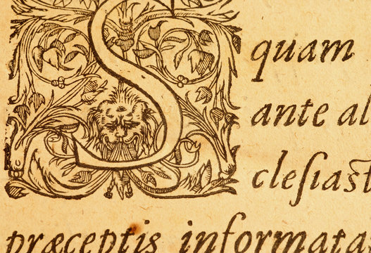 Capitular Bilder – Durchsuchen 259 Archivfotos, Vektorgrafiken und ...