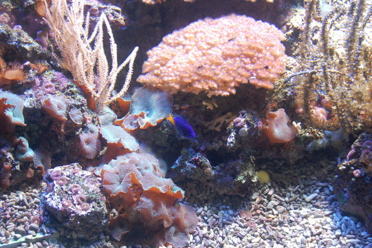 Tij Images – Browse 61 Stock Photos, Vectors, and Video | Adobe Stock