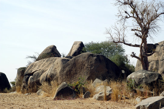 Cahot Images – Browse 35 Stock Photos, Vectors, and Video | Adobe Stock