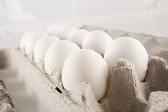 Cannikin Images – Browse 281 Stock Photos, Vectors, and Video | Adobe Stock