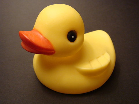 รูปภาพDuckie – เลือกดูภาพถ่ายสต็อก เวกเตอร์ และวิดีโอ905,116 | Adobe Stock