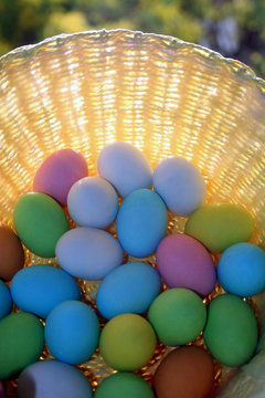 Uove Images – Browse 27 Stock Photos, Vectors, and Video | Adobe Stock