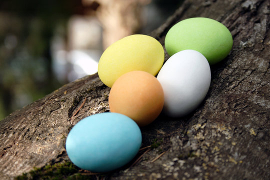 Uove Images – Browse 27 Stock Photos, Vectors, and Video | Adobe Stock