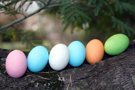 Uove Images – Browse 27 Stock Photos, Vectors, and Video | Adobe Stock