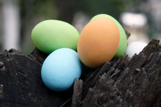 Uove Images – Browse 27 Stock Photos, Vectors, and Video | Adobe Stock