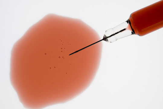 รูปภาพFinto – เลือกดูภาพถ่ายสต็อก เวกเตอร์ และวิดีโอ484 | Adobe Stock