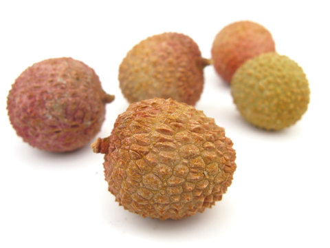 「Lichu」の写真素材 | 392件の無料イラスト画像 | Adobe Stock