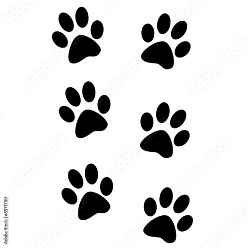 "pfoten" Stockfotos und lizenzfreie Bilder auf Fotolia.com - Bild 6571750