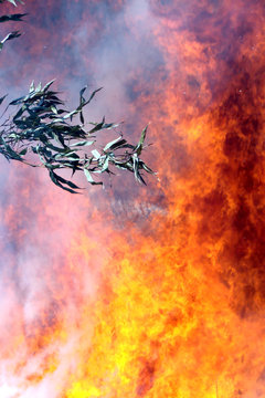 รูปภาพPyromanie – เลือกดูภาพถ่ายสต็อก เวกเตอร์ และวิดีโอ121 | Adobe Stock