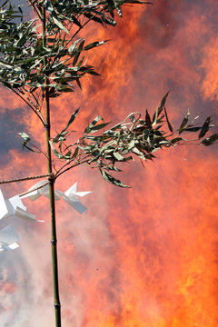 รูปภาพPyromanie – เลือกดูภาพถ่ายสต็อก เวกเตอร์ และวิดีโอ121 | Adobe Stock