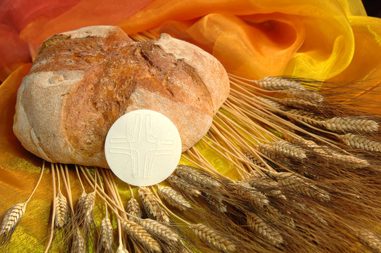 รูปภาพParticola – เลือกดูภาพถ่ายสต็อก เวกเตอร์ และวิดีโอ85 | Adobe Stock