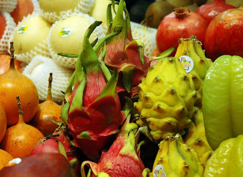 รูปภาพExoten – เลือกดูภาพถ่ายสต็อก เวกเตอร์ และวิดีโอ1,768 | Adobe Stock