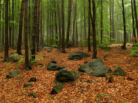 Gury Bilder – Durchsuchen 34 Archivfotos, Vektorgrafiken und Videos ...