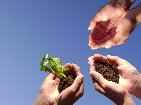 Semance Images – Browse 47 Stock Photos, Vectors, and Video | Adobe Stock