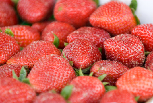 Ralph Petty photos, images, assets | Adobe Stock