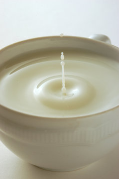 Imágenes de Scodella: descubre bancos de fotos, ilustraciones, vectores ...