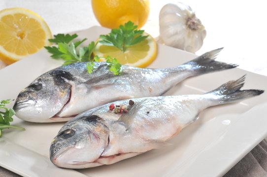 "Dorade Box" Bilder – Durchsuchen 836 Archivfotos, Vektorgrafiken und ...