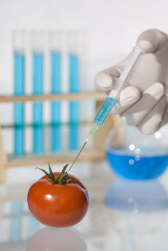 1,469 BESTE Genmanipulation BILDER, STOCK-FOTOS & -VEKTORGRAFIKEN ...