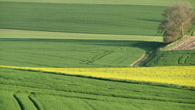 Agrocarburant bilder – Bläddra bland 282 stockfoton, vektorer och ...
