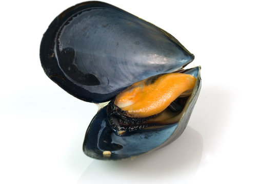 「Cozza」の写真素材 | 1,804件の無料イラスト画像 | Adobe Stock