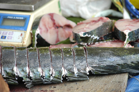 "Dorade Box" Bilder – Durchsuchen 838 Archivfotos, Vektorgrafiken und ...