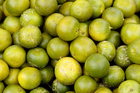 Lemoncito Images – Browse 5 Stock Photos, Vectors, and Video | Adobe Stock