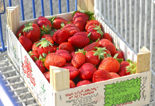 รูปภาพCageot – เลือกดูภาพถ่ายสต็อก เวกเตอร์ และวิดีโอ1,565 | Adobe Stock