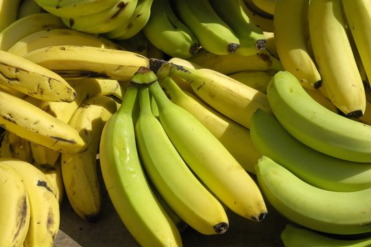 「Bananne」の写真素材 | 32件の無料イラスト画像 | Adobe Stock