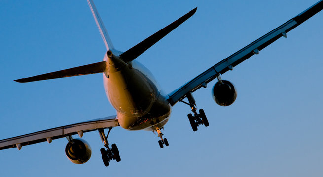 Ladeado Images – Browse 83 Stock Photos, Vectors, and Video | Adobe Stock