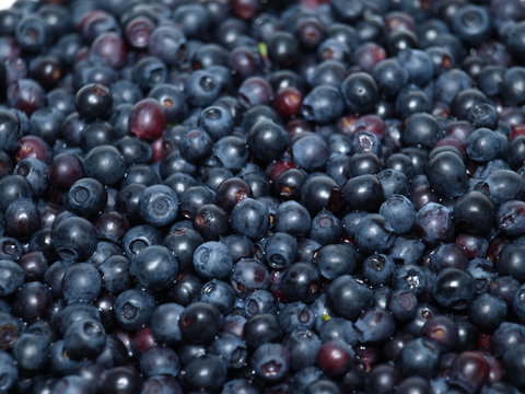 「Wimberry」の画像 - 136,302 件の Stock 写真、ベクターおよびビデオ | Adobe Stock