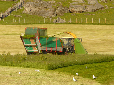 Scheunendrescher Bilder – Durchsuchen 52 Archivfotos, Vektorgrafiken ...