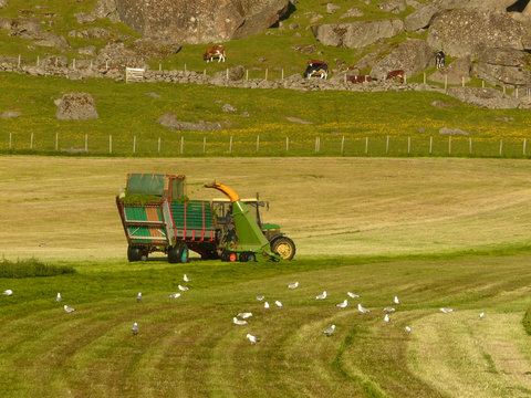 Scheunendrescher-Bilder: Stock-Fotos & -Videos. | Adobe Stock