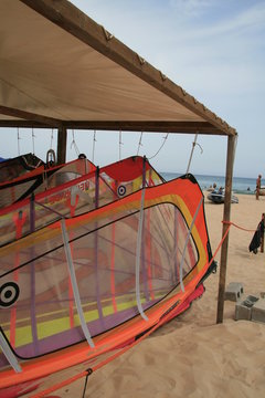 Monosci Images – Browse 35 Stock Photos, Vectors, and Video | Adobe Stock