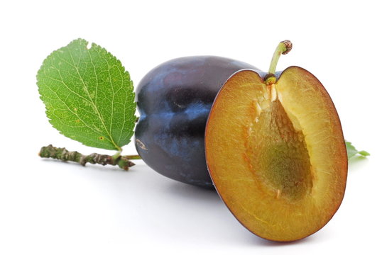 Zwetschke-Bilder: Stock-Fotos & -Videos. | Adobe Stock