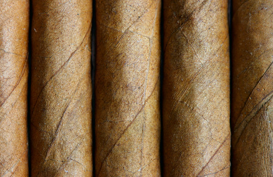 Cigar Texture