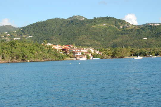 Martiniquais 画像 - 参照 162 Stock 写真、ベクターおよびビデオ | Adobe Stock