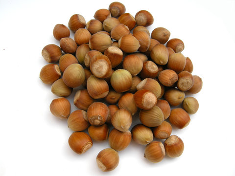 รูปภาพHasel – เลือกดูภาพถ่ายสต็อก เวกเตอร์ และวิดีโอ5,857 | Adobe Stock