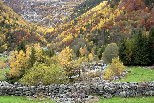 Cadute Images – Browse 572 Stock Photos, Vectors, and Video | Adobe Stock