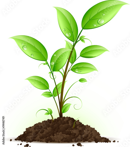 "Jeune plante verte" fichier vectoriel libre de droits sur la banque d ...