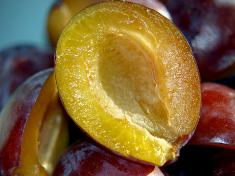 「Zwetschen」の写真素材 | 426件の無料イラスト画像 | Adobe Stock