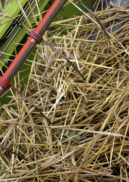 Scheunendrescher Bilder – Durchsuchen 52 Archivfotos, Vektorgrafiken ...