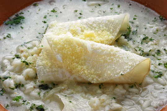 Rapate Images – Browse 5 Stock Photos, Vectors, and Video | Adobe Stock