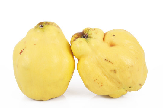 รูปภาพCotogna – เลือกดูภาพถ่ายสต็อก เวกเตอร์ และวิดีโอ92 | Adobe Stock