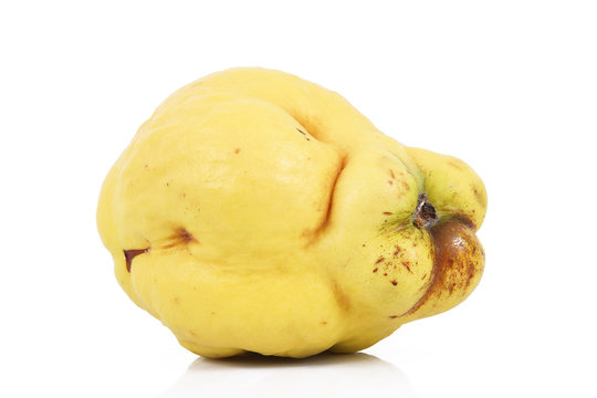 รูปภาพCotogna – เลือกดูภาพถ่ายสต็อก เวกเตอร์ และวิดีโอ92 | Adobe Stock