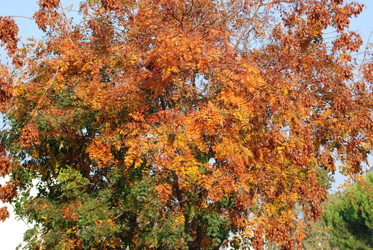 「Fgfgfg」の写真素材 | 12件の無料イラスト画像 | Adobe Stock